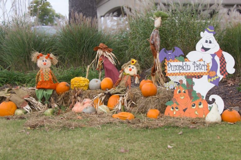 Halloween Fun in Branson MO